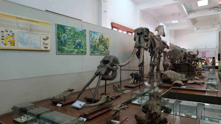 √ Museum Geologi Bandung: Sejarah, Koleksi, Harga Tiket 2026