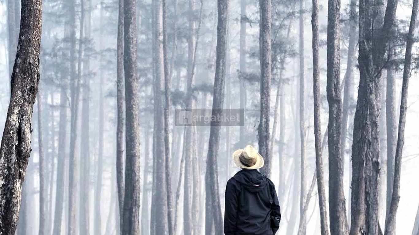 √ 20+ Tempat Wisata di Bontang yang Hits (Gambar dan Info)