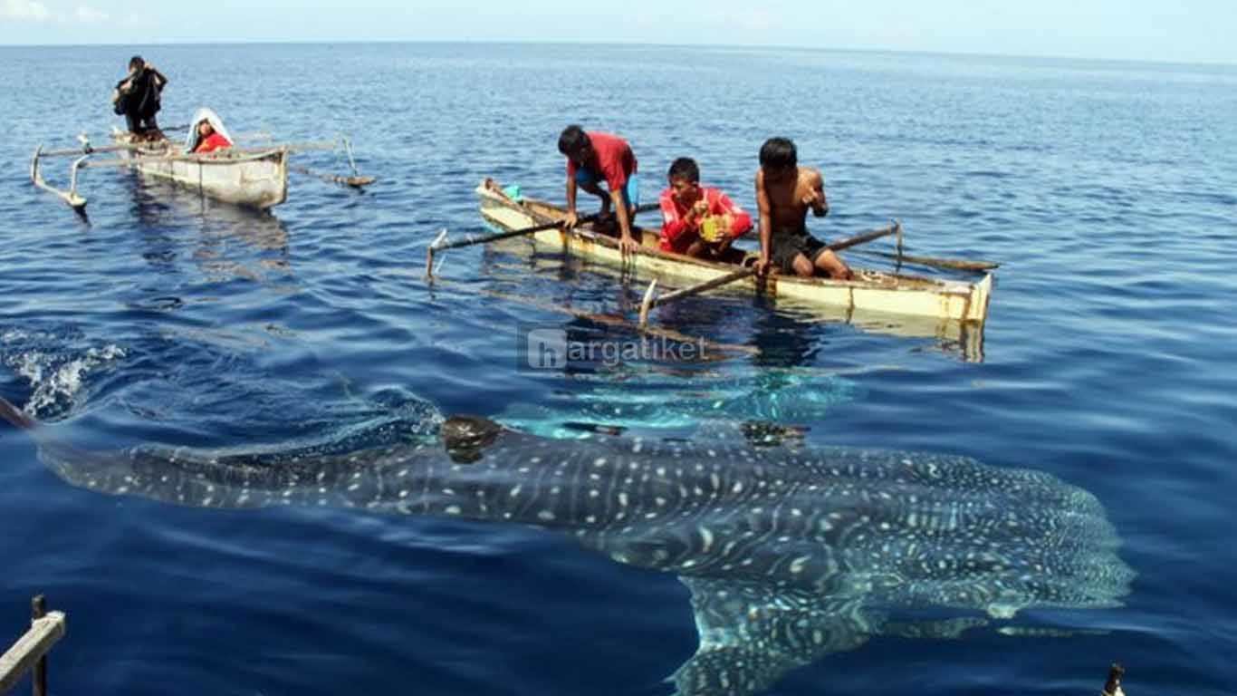 √ 35+ Tempat Wisata di Gorontalo Terbaru yang Wajib Dikunjungi