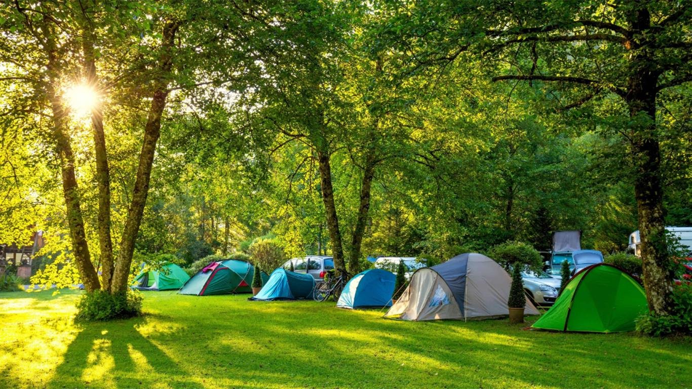 √ Pine Forest Camp: Aktivitas, Fasilitas, Harga Tiket Masuk 2026