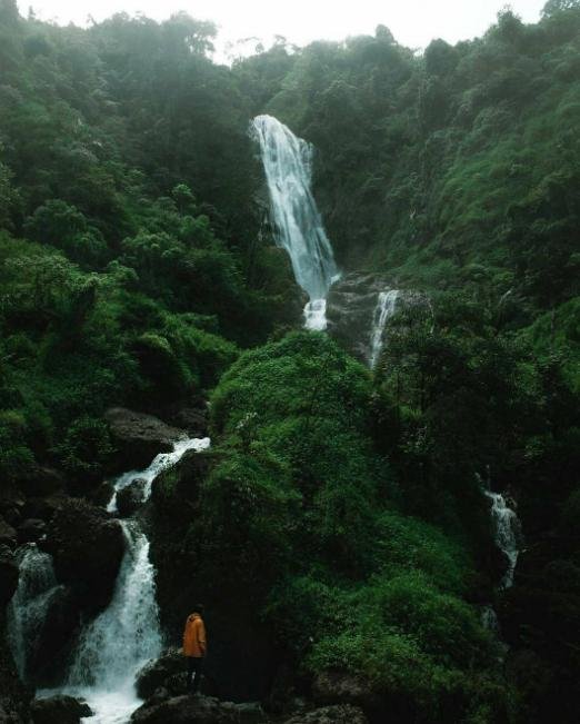 √ Suaka Elang Loji: Review, Lokasi, Harga Tiket Masuk 2026