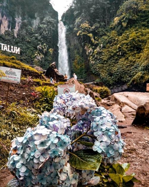 √ Wisata Coban Talun: Keindahan, Lokasi, Tiket Masuk 2026