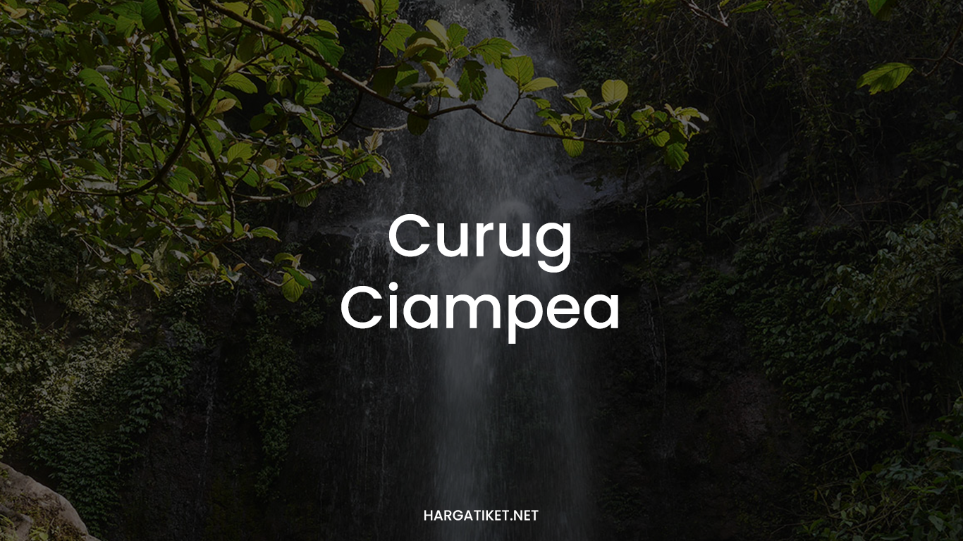 √ CURUG CIAMPEA: Daya Tarik & Tiket Masuk 2025