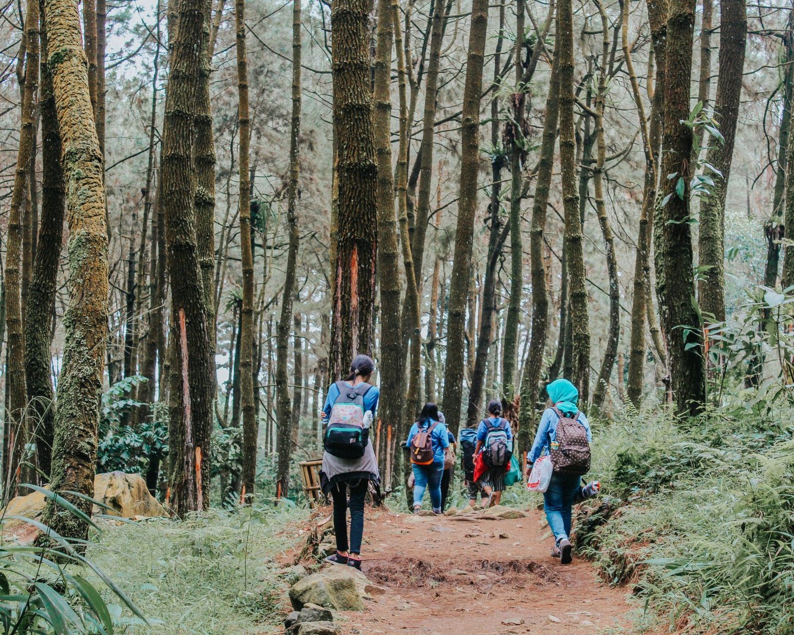 √ CURUG CIAMPEA: Daya Tarik & Tiket Masuk 2025